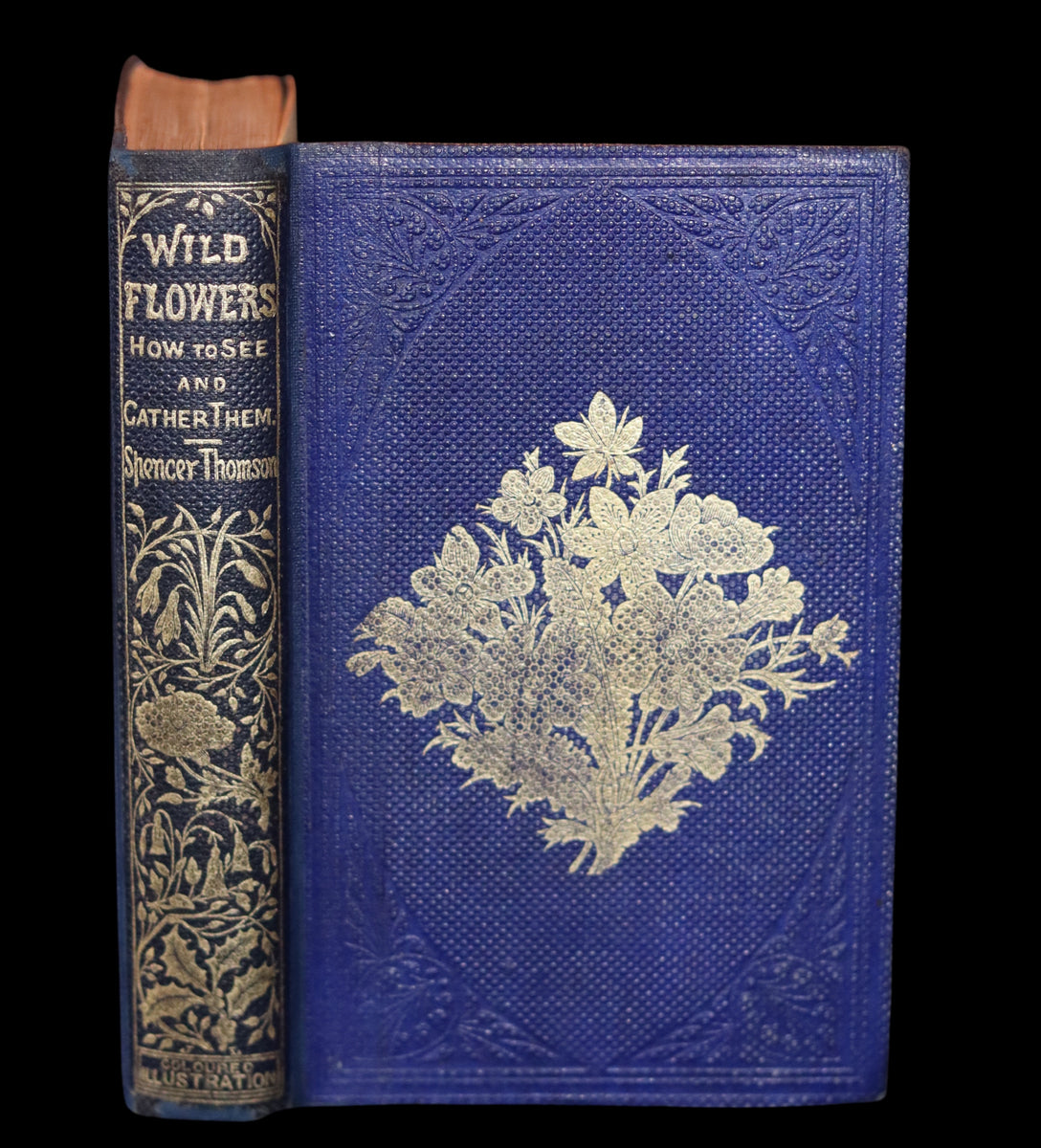 1859 Rare Book - Wild Flowers and Medicinal Uses color Illustrated by ...