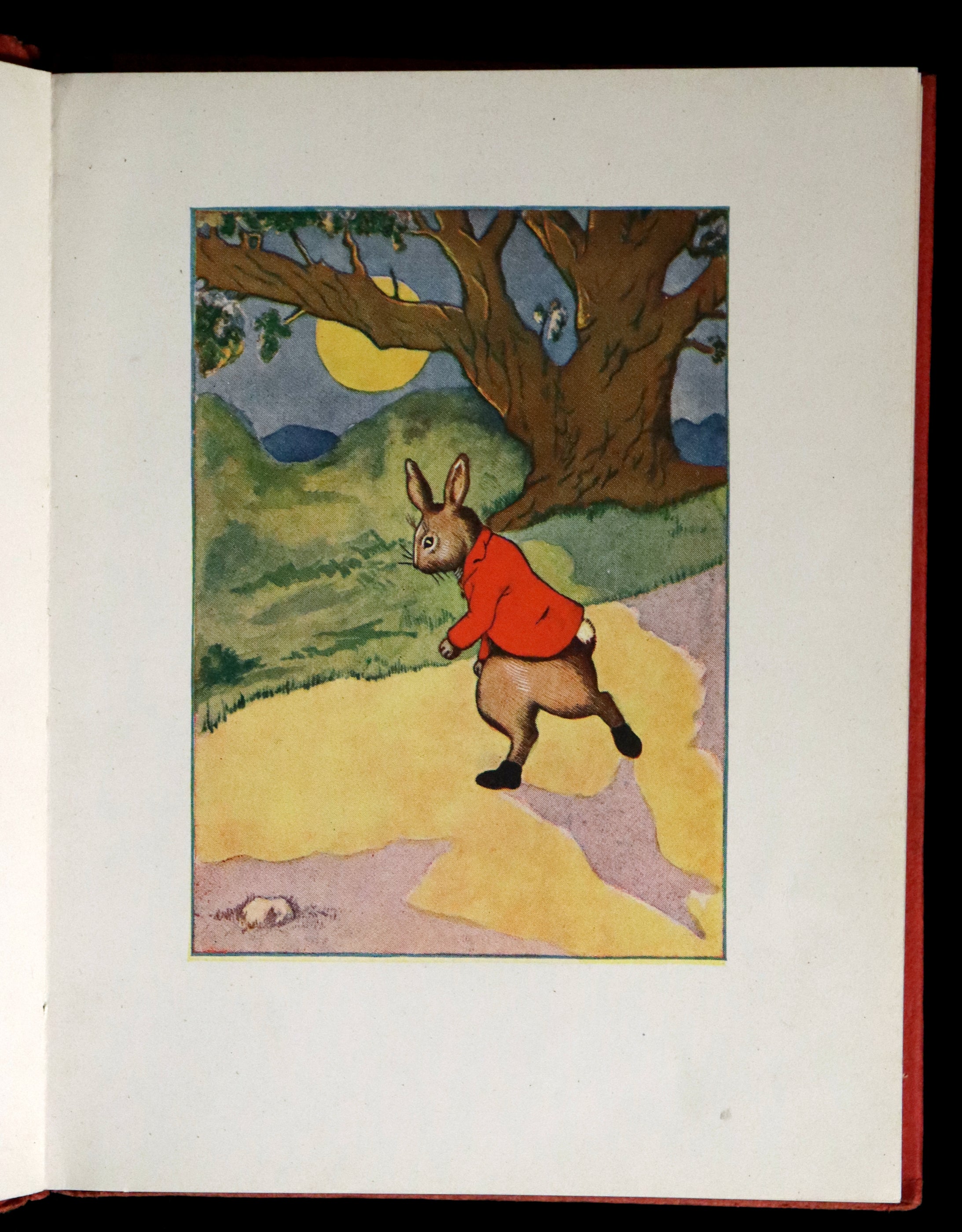 1921 Rare First Edition - PETER RABBIT AND THE FAIRIES by Alma ...