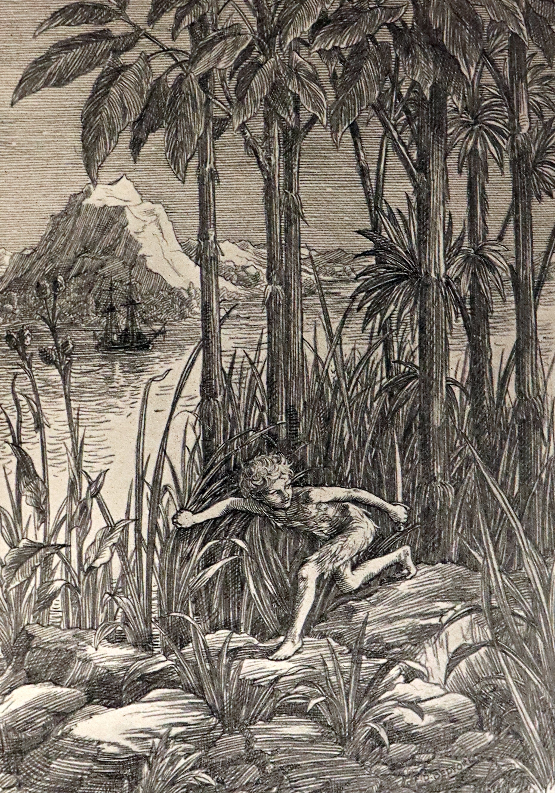 1911 Peter Pan First Edition - Peter and Wendy — MFLIBRA - Antique Books