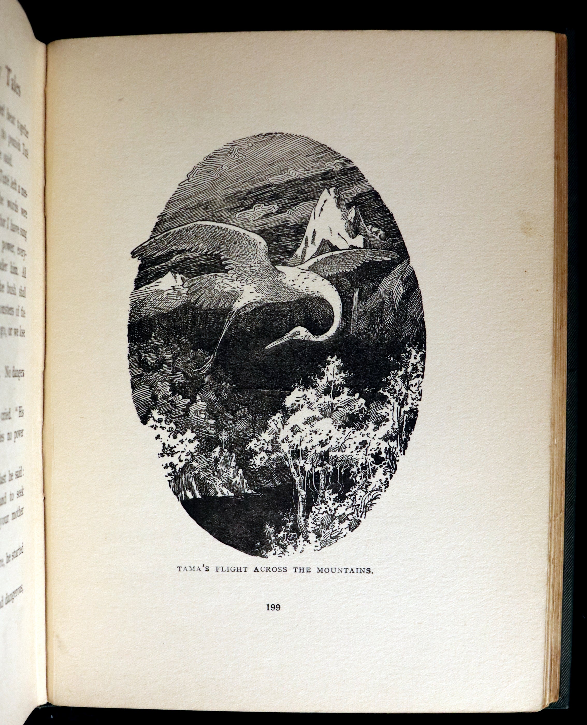 1913 Rare First Edition - MAORILAND FAIRY TALES by Edith Howes - New ...