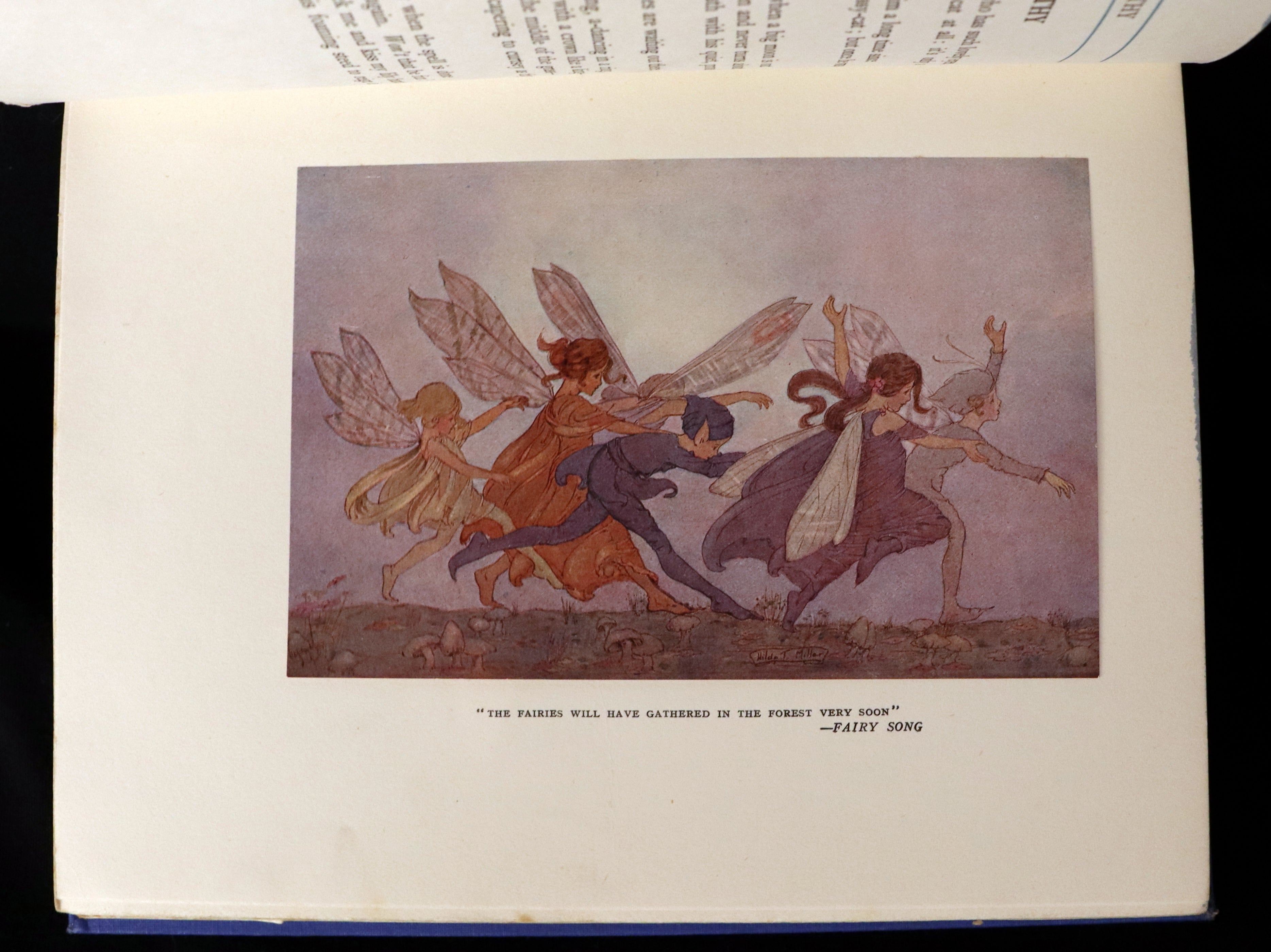 1923 Rare First Edition - The Rose Fyleman Fairy Book Illustrated by ...