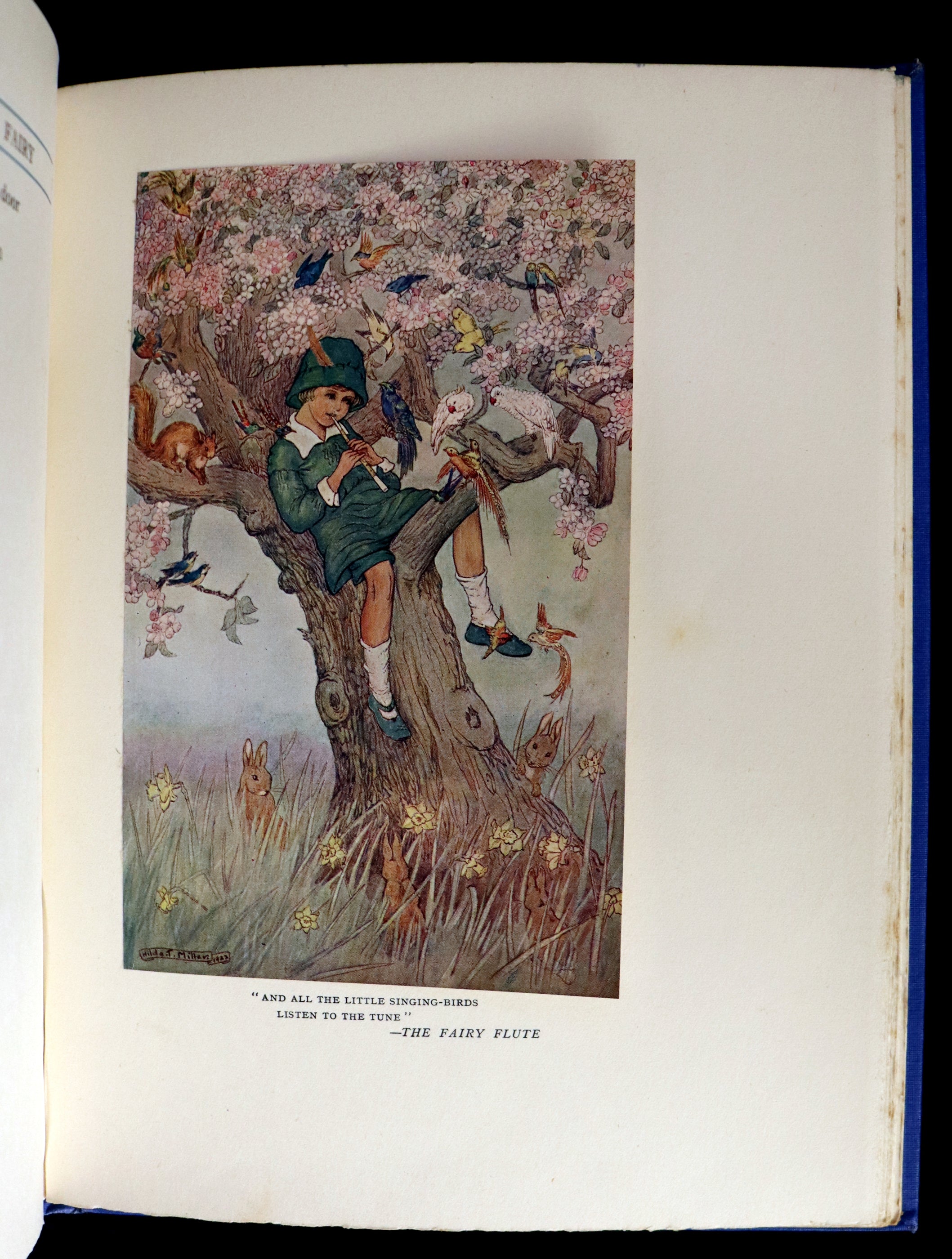 1923 Rare First Edition - The Rose Fyleman Fairy Book Illustrated by ...