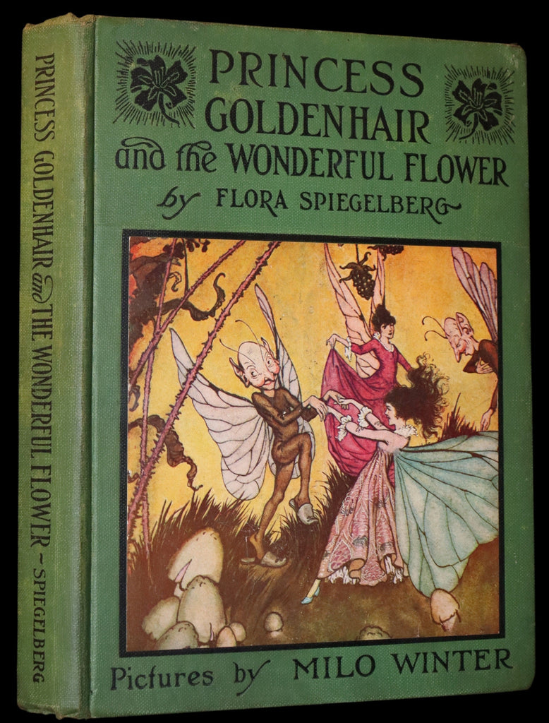 1932 Rare Book - Princess Goldenhair and the Wonderful Flower Illustra ...