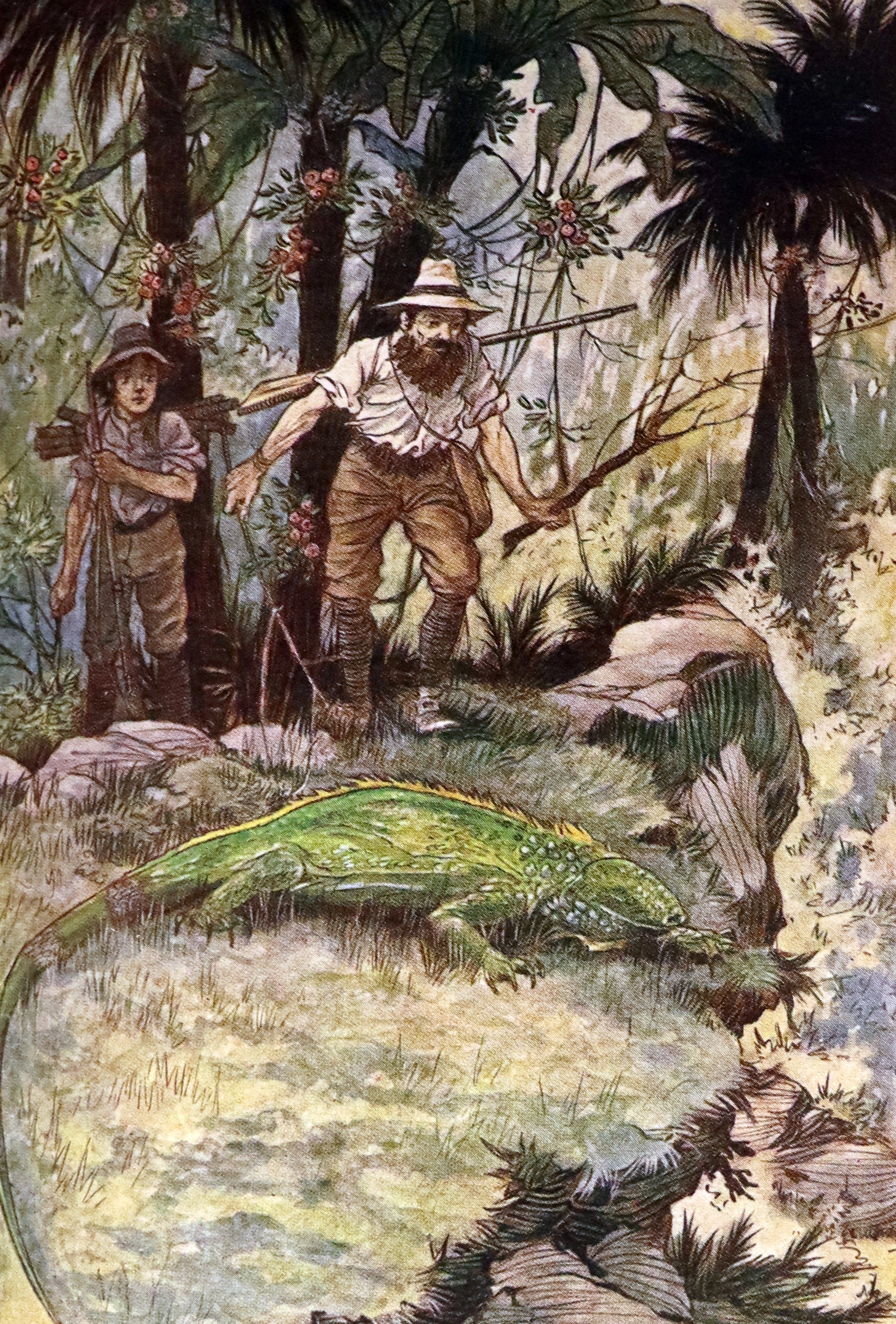 1972 Beautiful Book bound by Bayntun - The Swiss Family Robinson illus ...