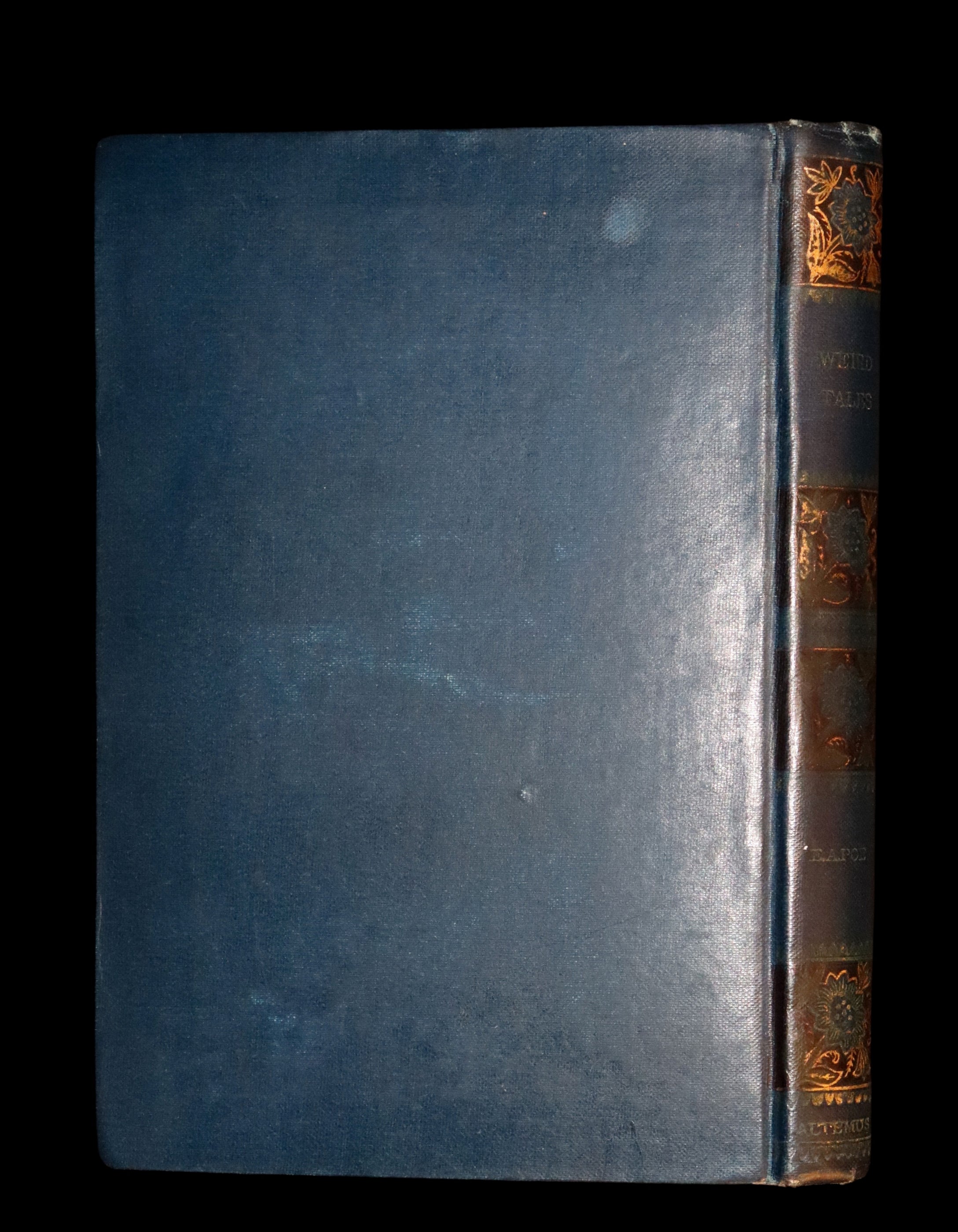 1895 Rare Book - Weird Tales by Edgar Allan POE Illustrated (Black Cat ...