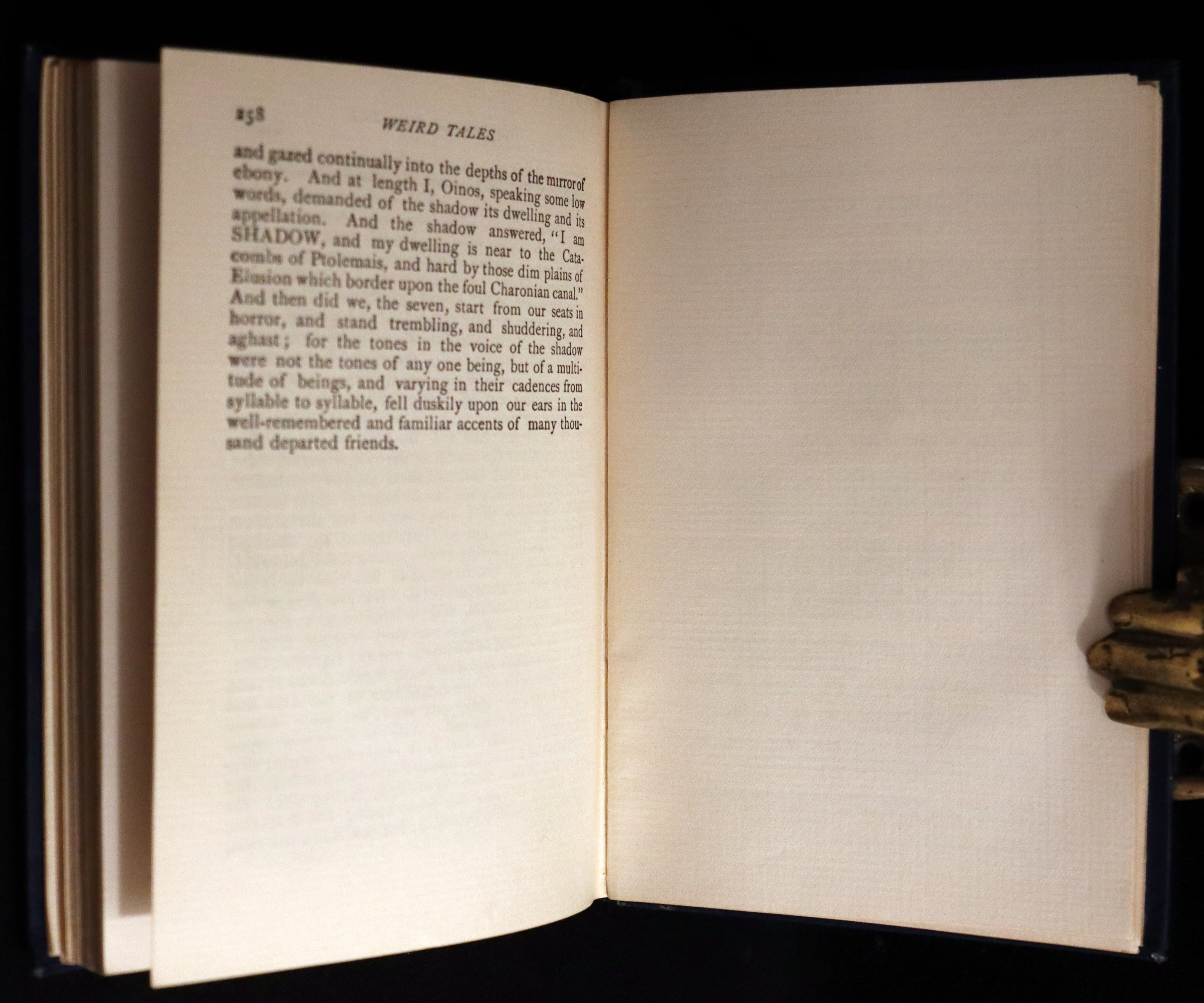 1895 Rare Book - Weird Tales by Edgar Allan POE Illustrated (Black Cat ...