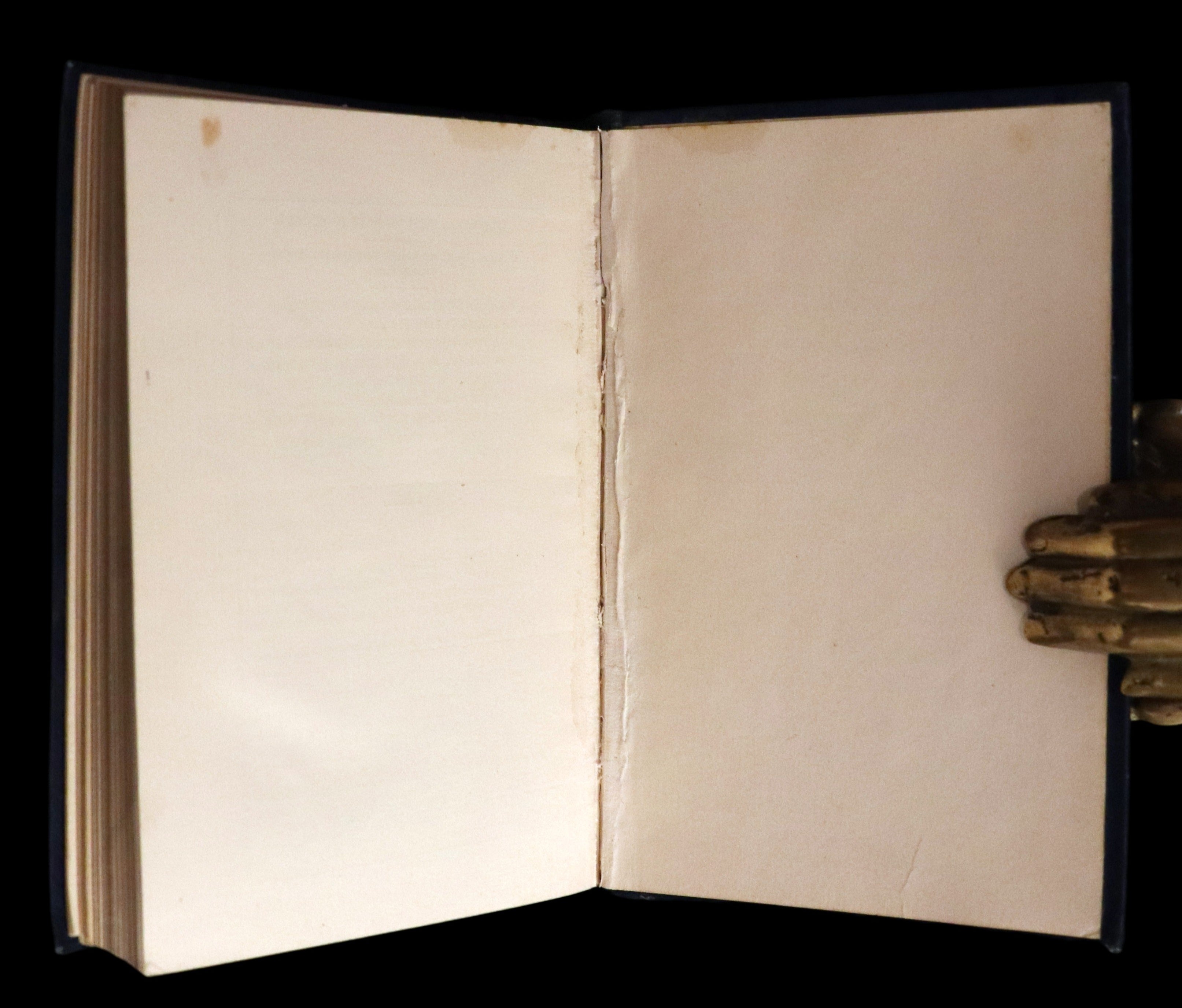 1895 Rare Book - Weird Tales by Edgar Allan POE Illustrated (Black Cat ...