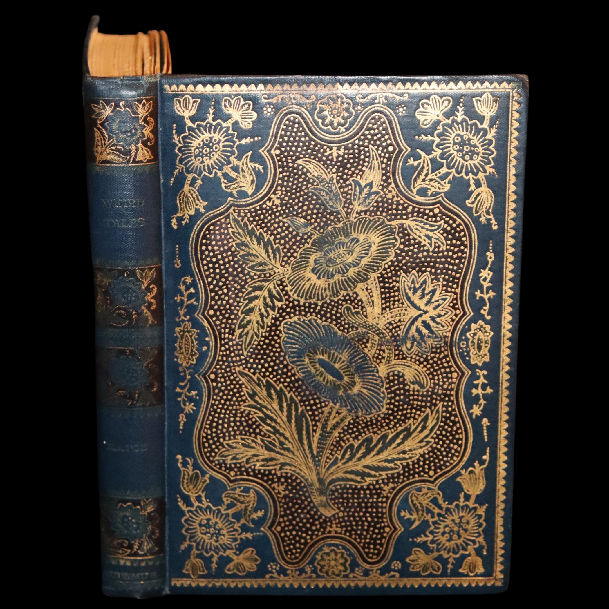 1895 Rare Book - Weird Tales by Edgar Allan POE Illustrated (Black Cat ...