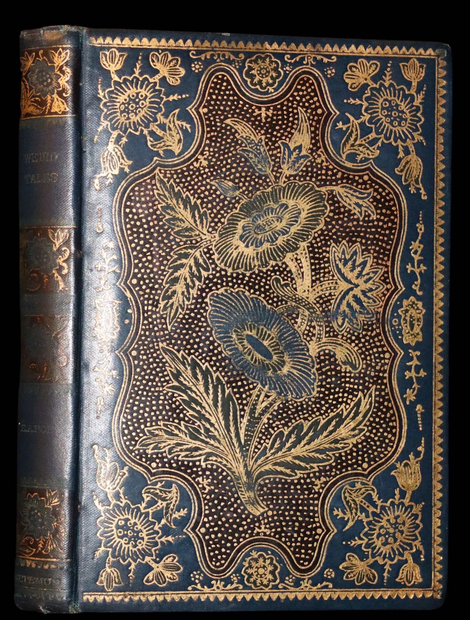 1895 Rare Book - Weird Tales by Edgar Allan POE Illustrated (Black Cat ...