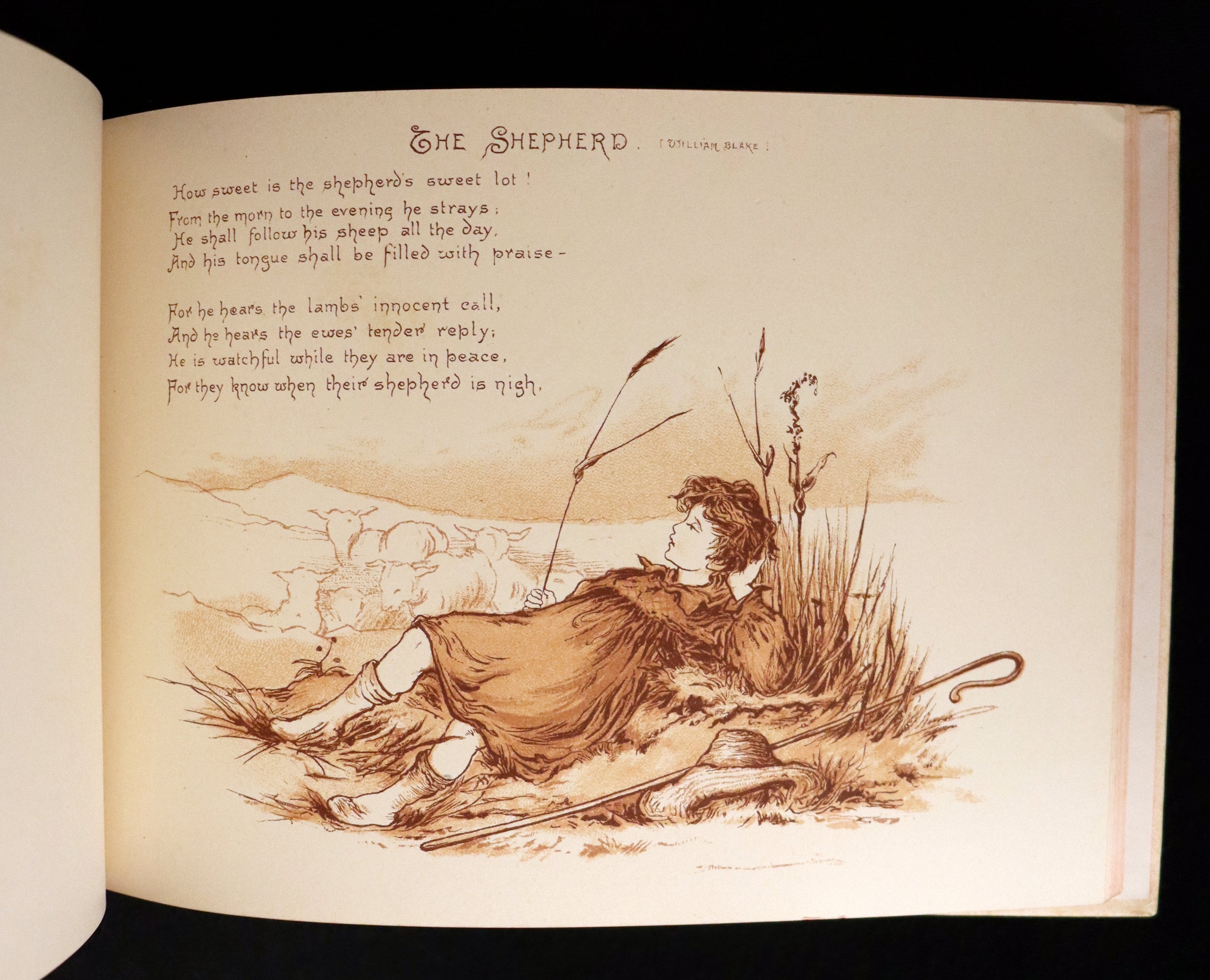 1883 Scarce Victorian Book - Pictures from the Poets illustrated by T ...