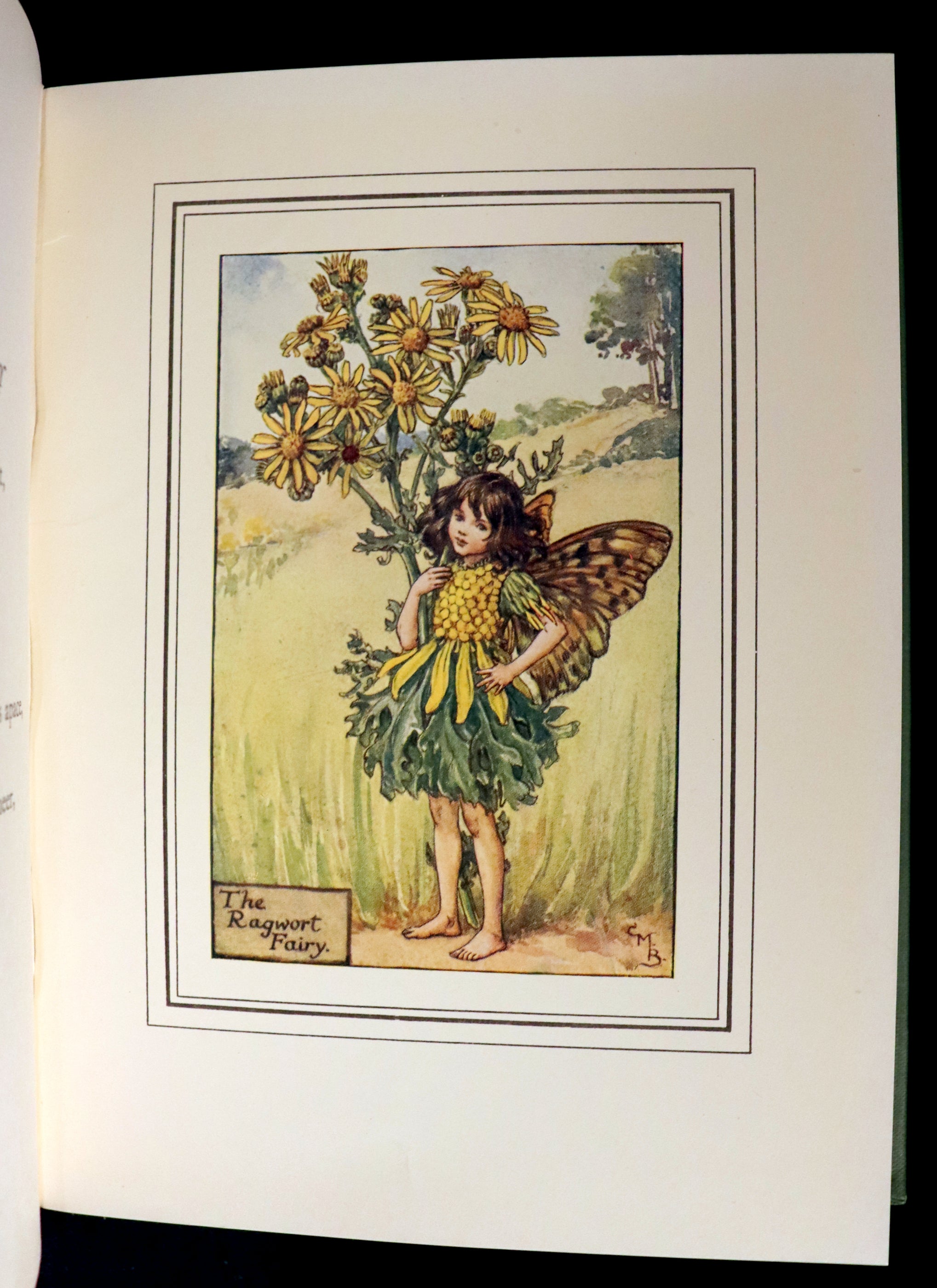 1930 Rare Book - Cicely Mary Barker - THE BOOK OF THE FLOWER FAIRIES ...