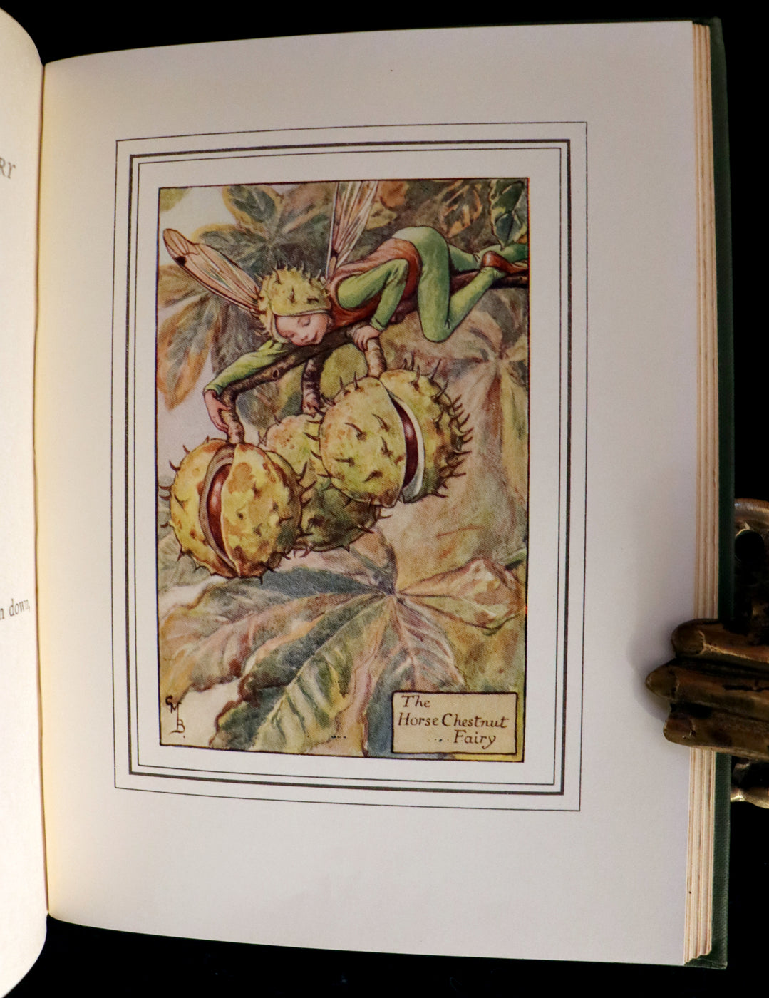 1930 Rare Book - Cicely Mary Barker - THE BOOK OF THE FLOWER FAIRIES ...