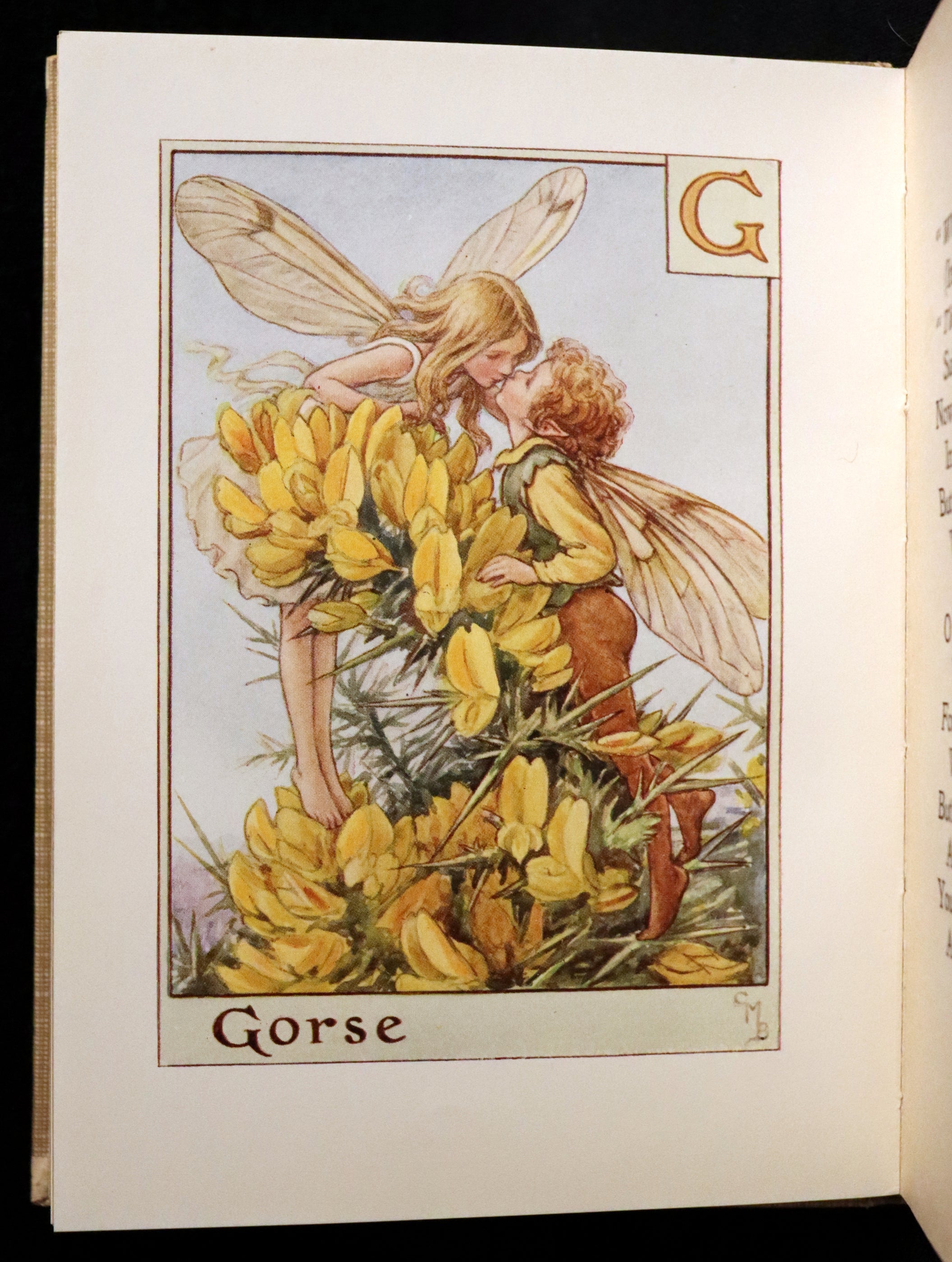 1934 Rare First Edition - Cicely Mary Barker - A FLOWER FAIRY ALPHABET ...