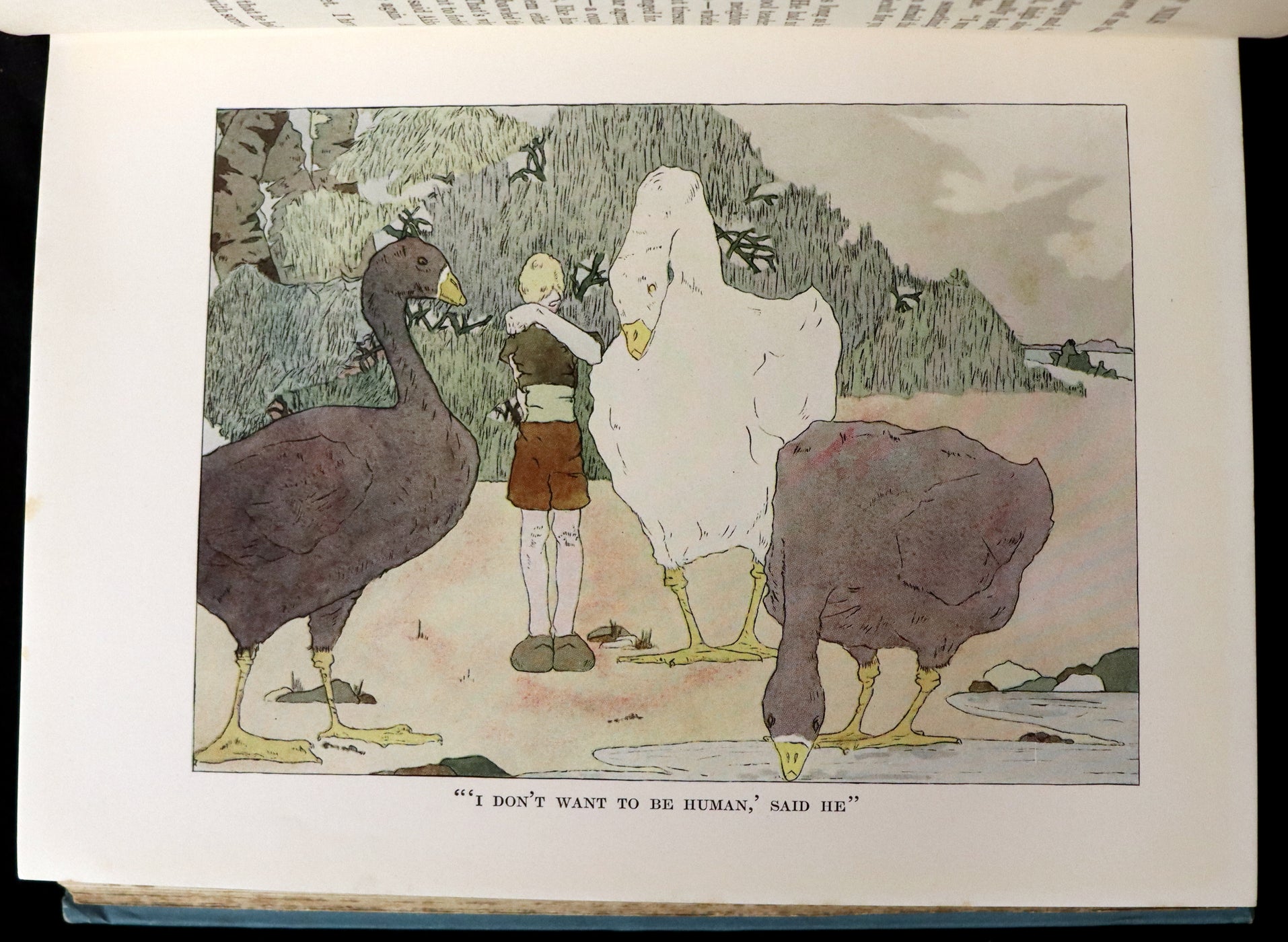 1921 Rare First illustrated Edition by Mary Hamilton Frye - THE ...