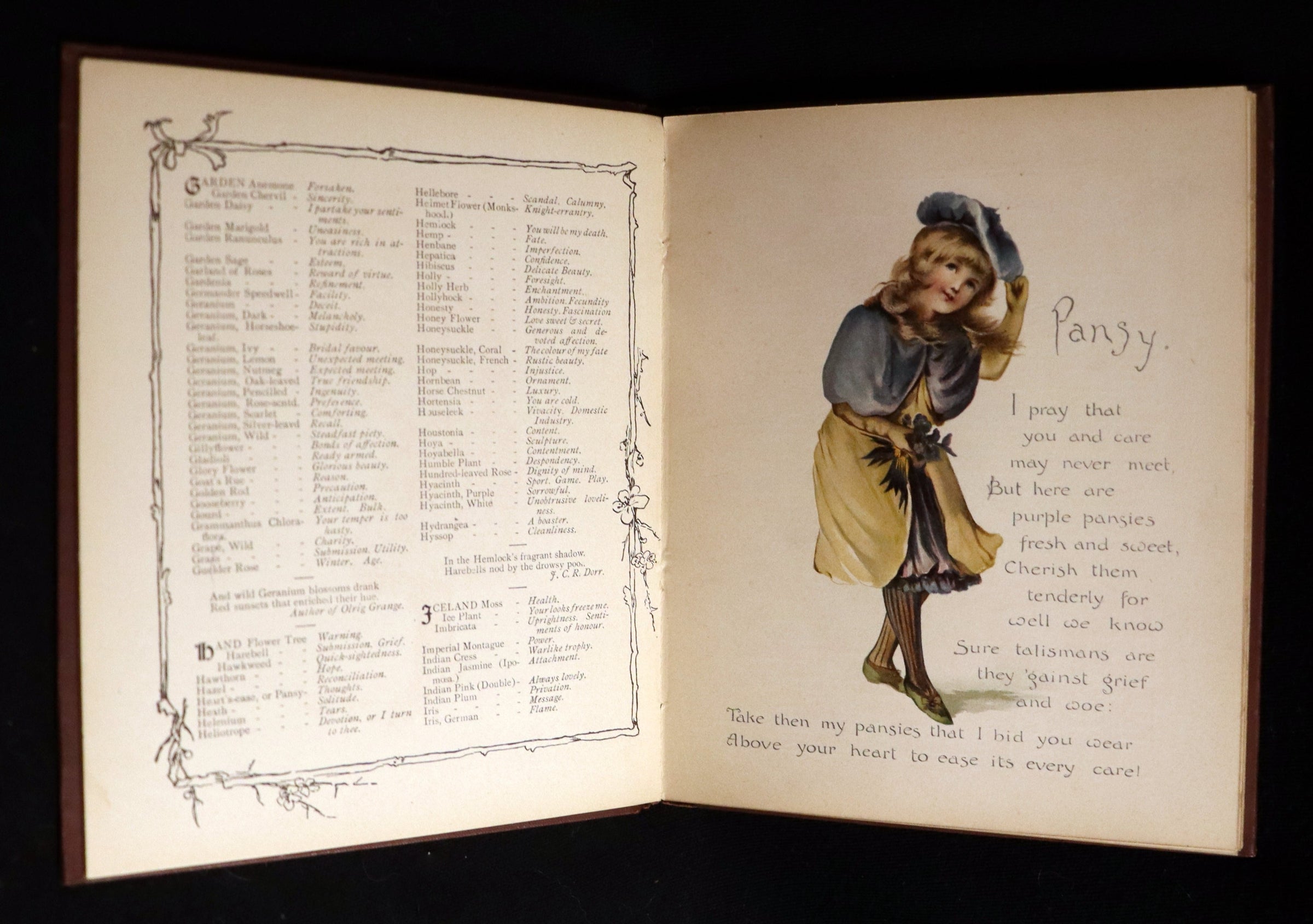 1890 Scarce Victorian Floriography Book ~ The Language of Flowers by E ...