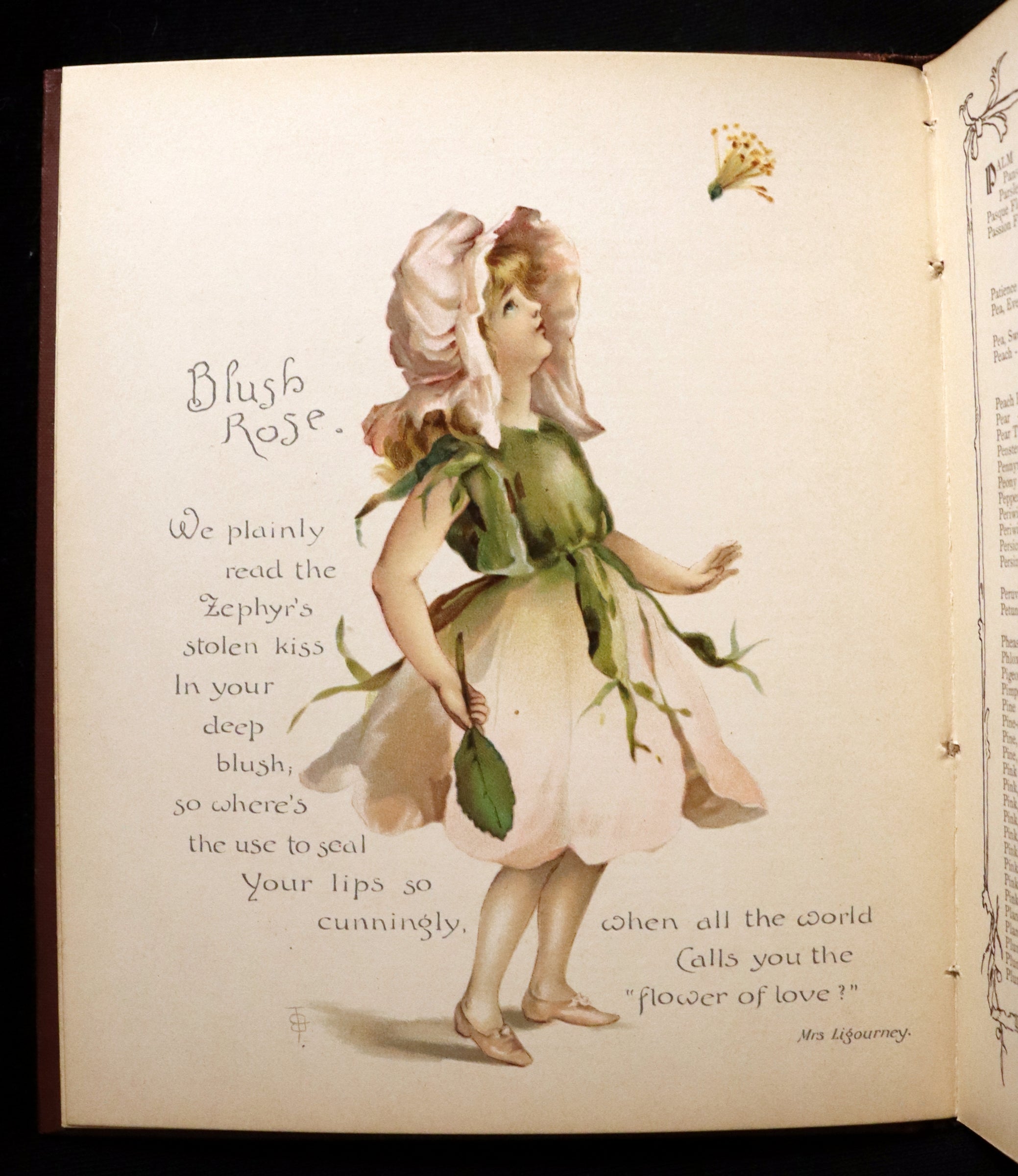 1890 Scarce Victorian Floriography Book ~ The Language of Flowers by E ...