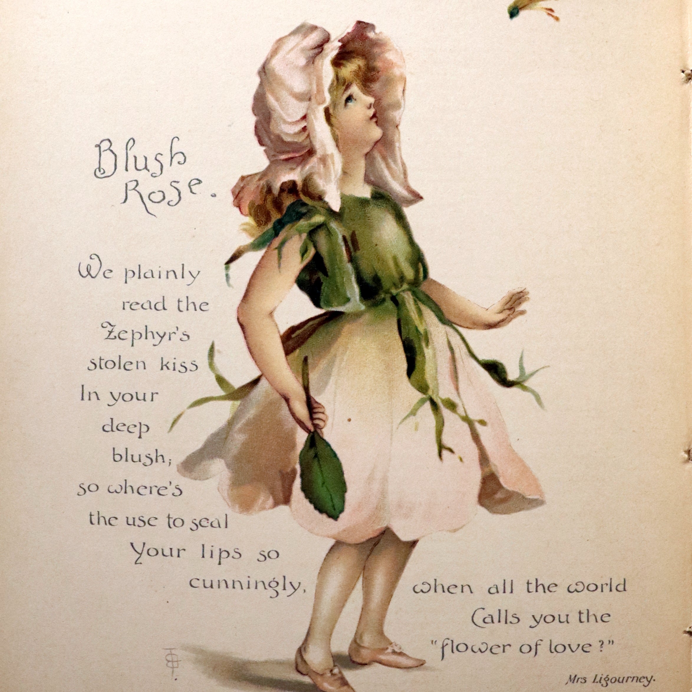 1890 Scarce Victorian Floriography Book ~ The Language of Flowers by E ...