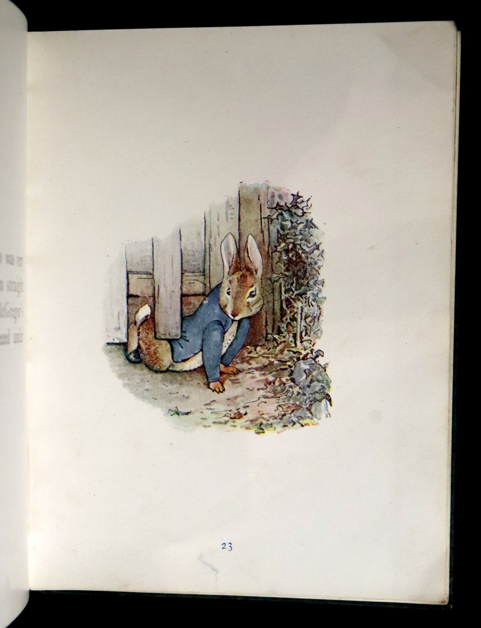 1904 Rare Early Printing - THE TALE OF PETER RABBIT illustrated by Bea ...