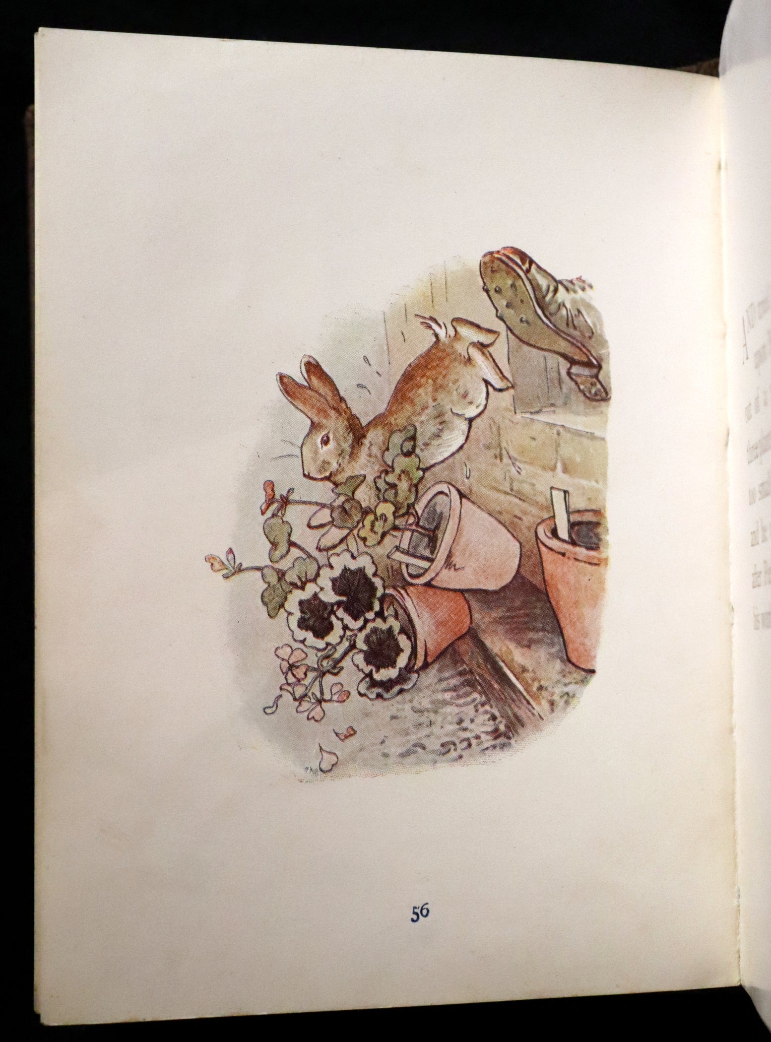 1904 Rare Early Printing - THE TALE OF PETER RABBIT illustrated by Bea ...