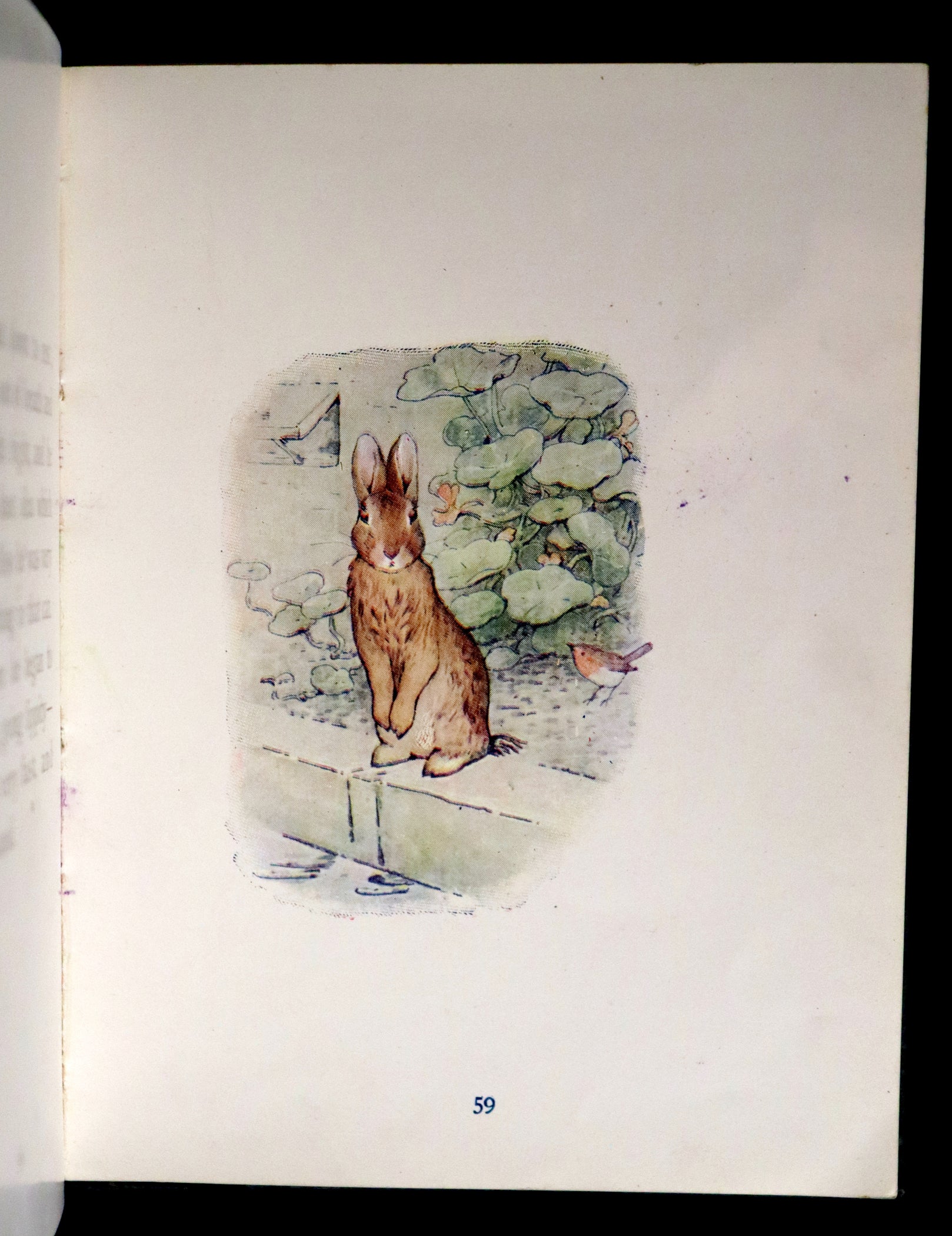 1904 Rare Early Printing - THE TALE OF PETER RABBIT illustrated by Bea ...