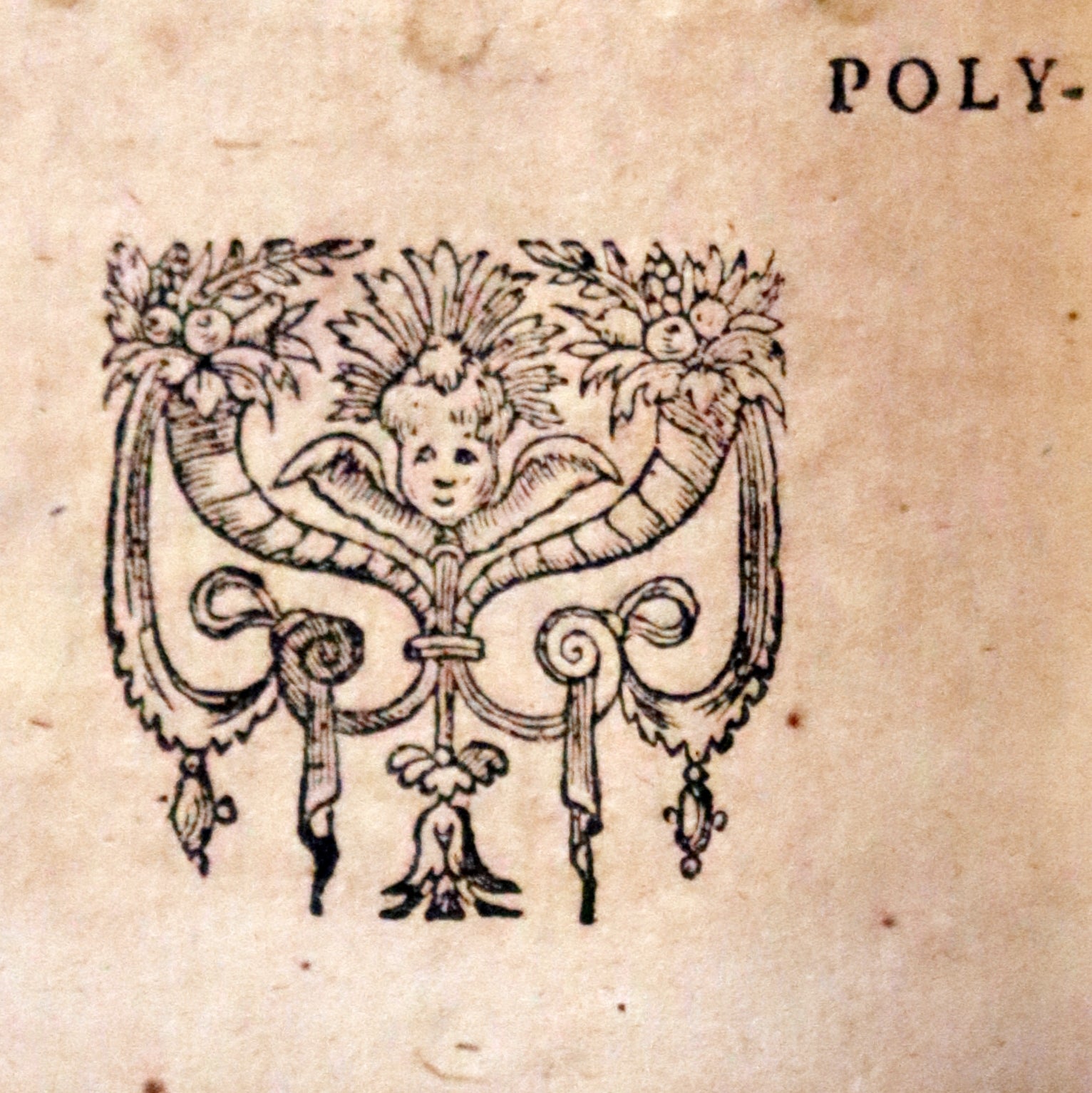 1597 Rare Latin Vellum Book - Polybius - Roman Republic's Histories ...