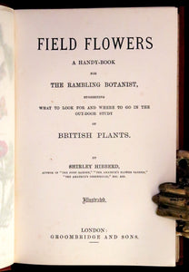 1880 Rare Victorian Book - FIELD FLOWERS, A handy-book for the ramblin ...