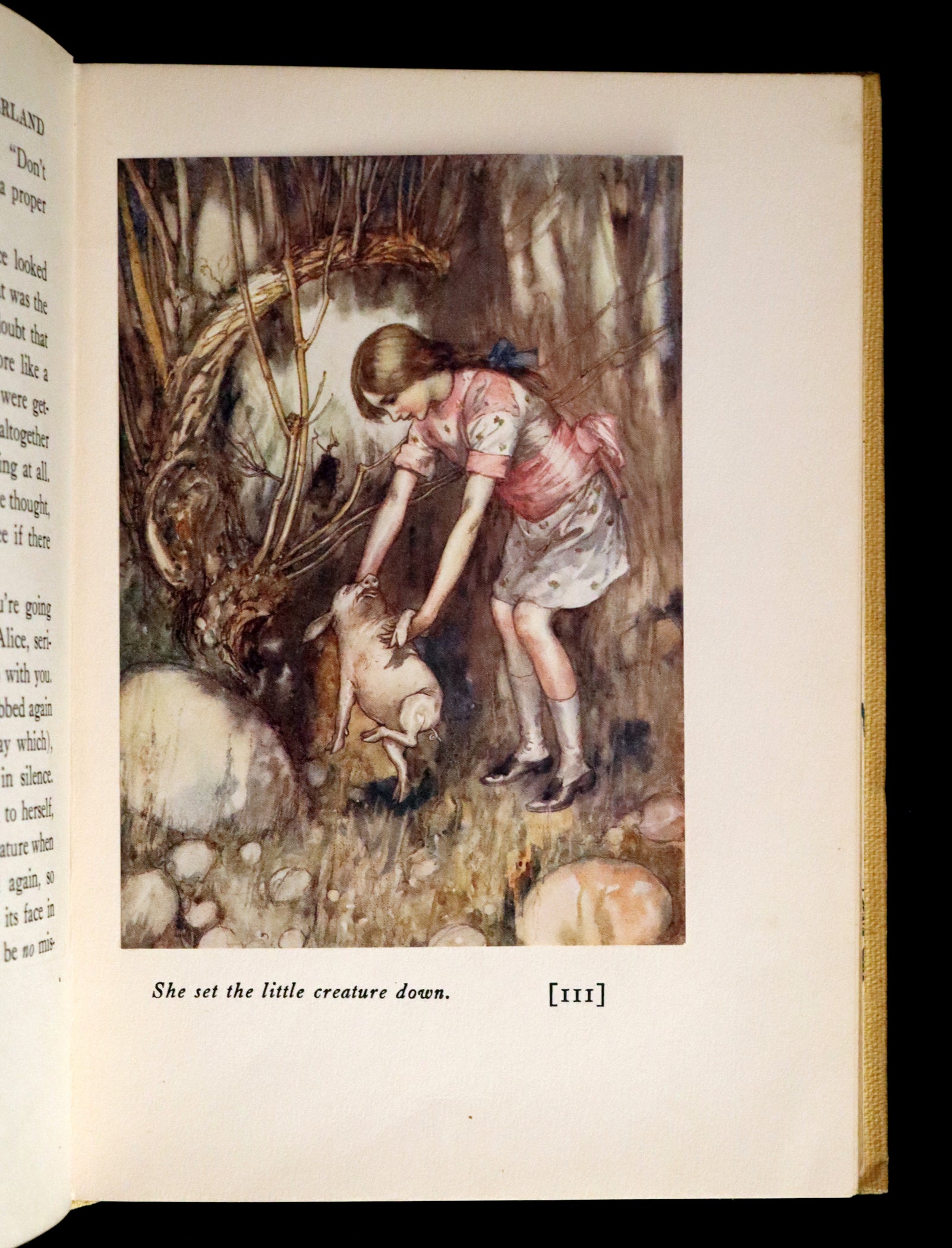 1915 Scarce First Edition - Alice's Adventures in Wonderland ...