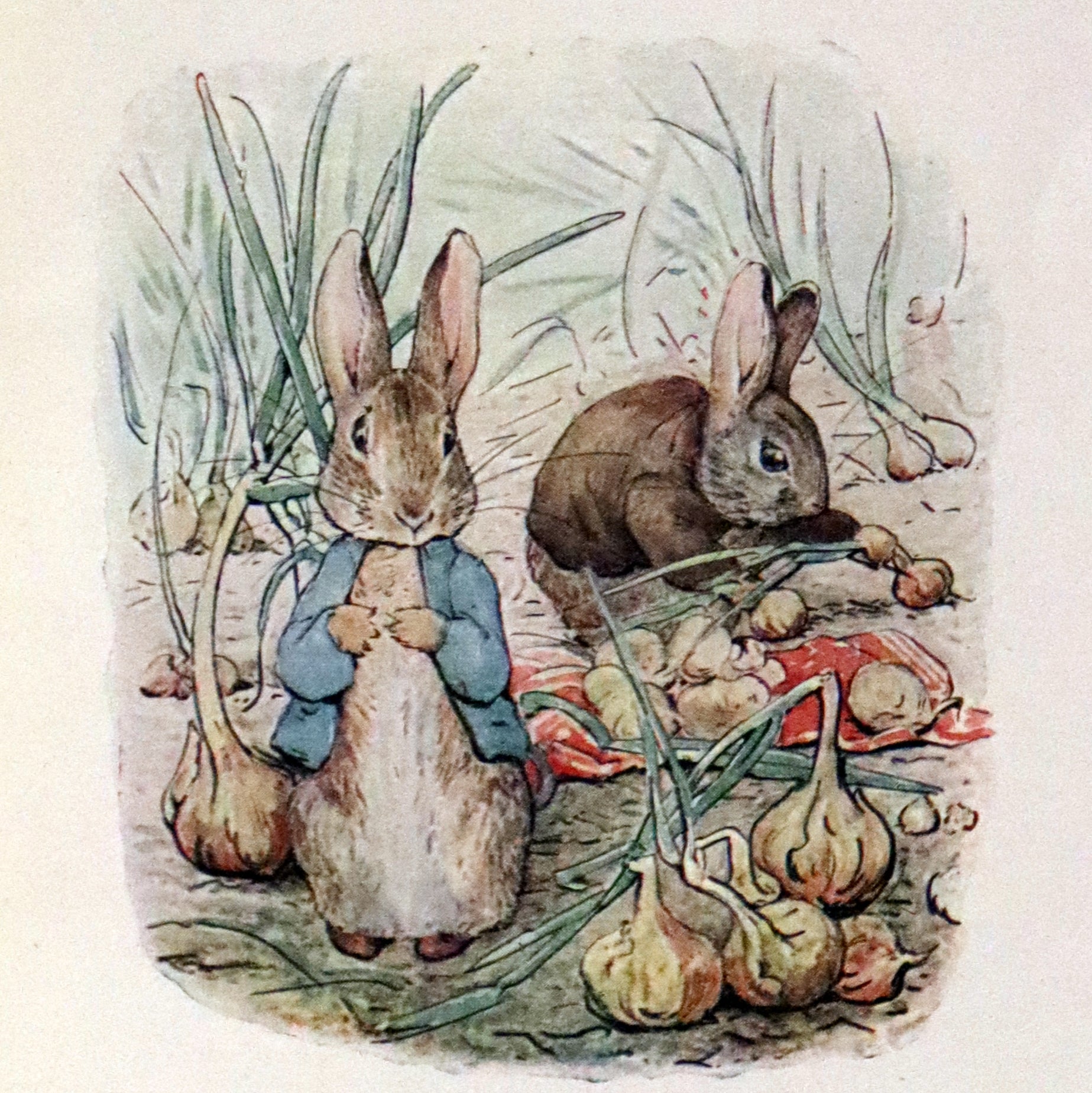 1910 Rare Early Edition - Beatrix Potter - The Tale of Benjamin Bunny ...