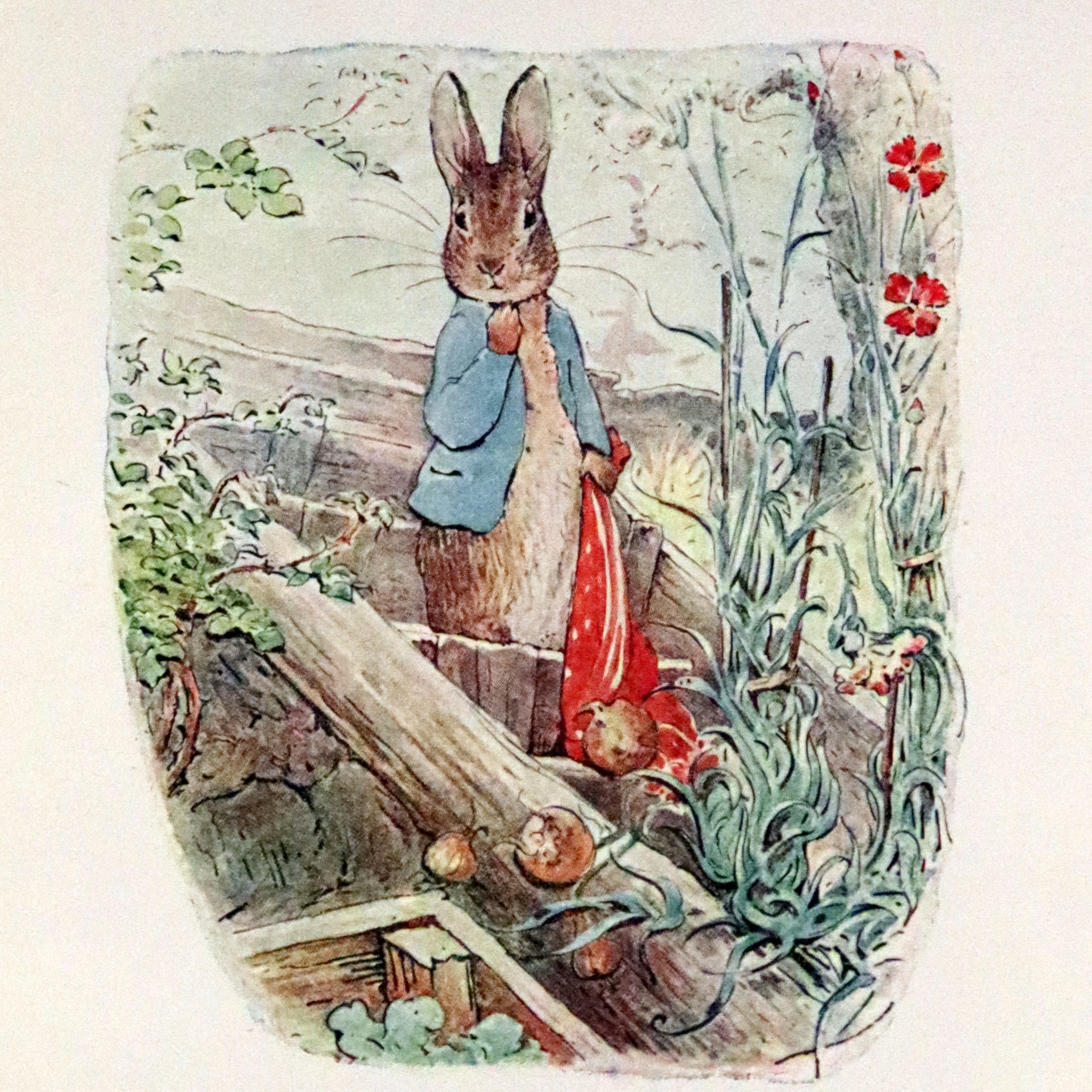 1910 Rare Early Edition - Beatrix Potter - The Tale of Benjamin Bunny ...