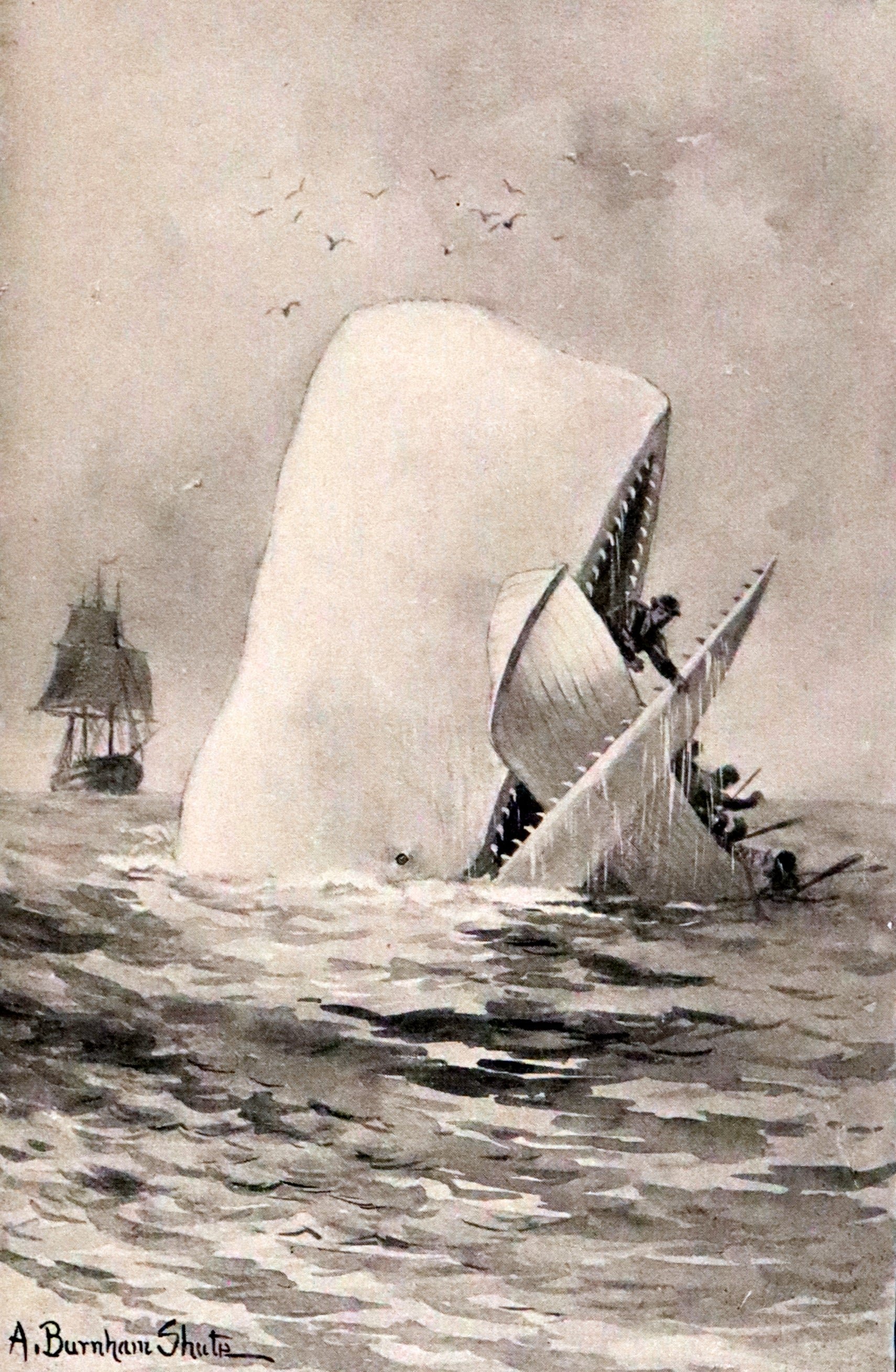 1922 Rare Book - MOBY DICK or The White Whale by Herman Melville ...