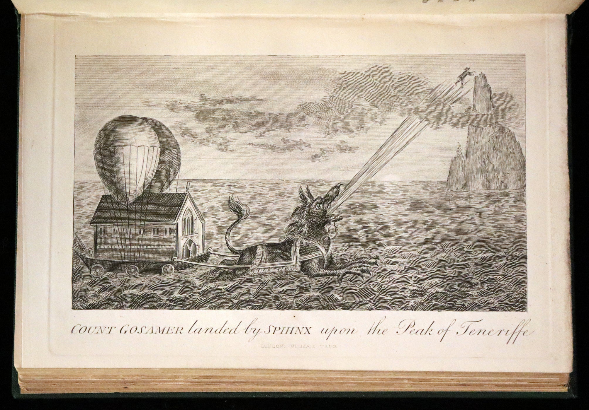 1868 Rare Book - The Travels and Surprising Adventures of Baron ...