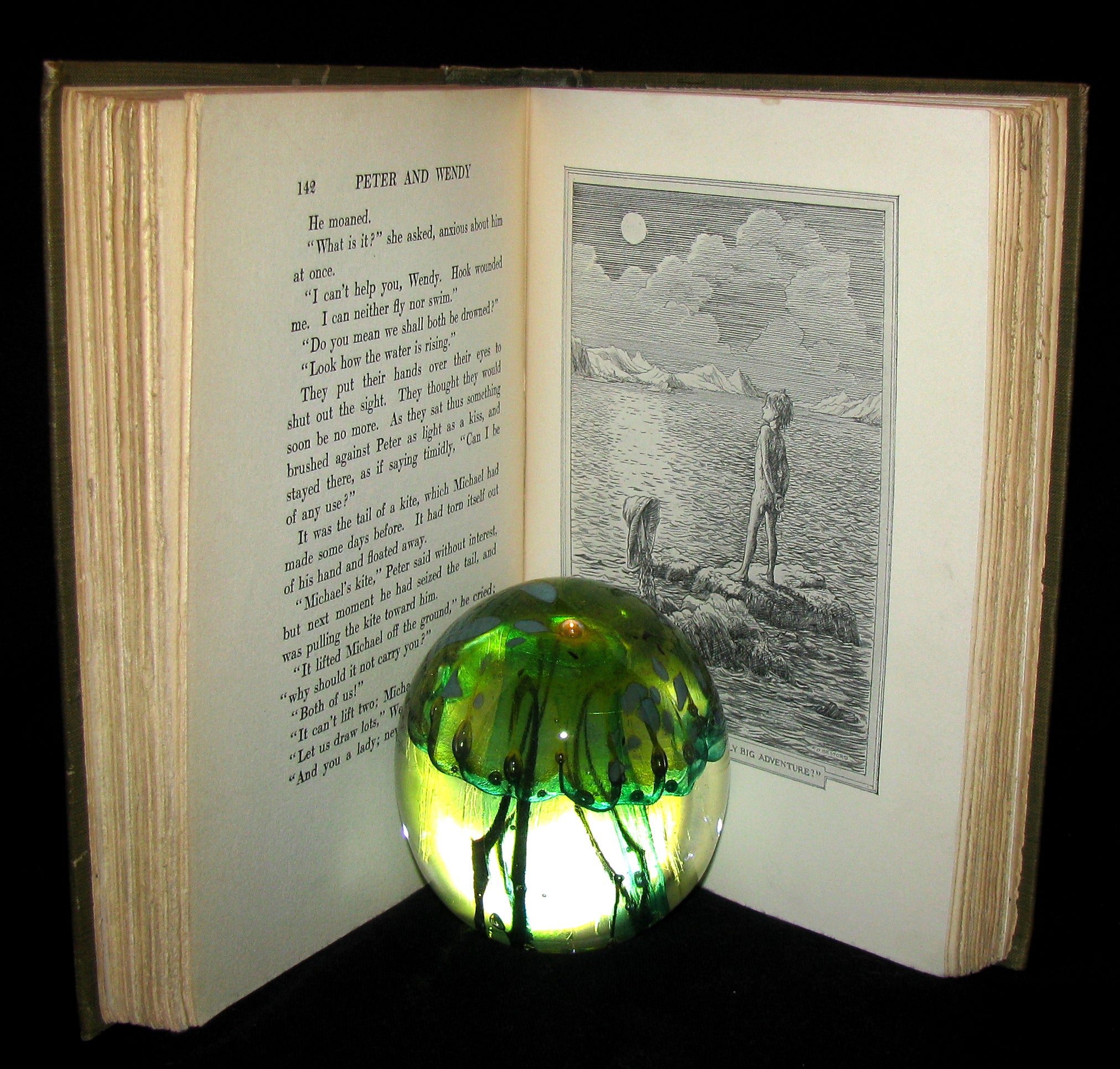 1911 Peter Pan First Edition - Peter and Wendy — MFLIBRA - Antique Books