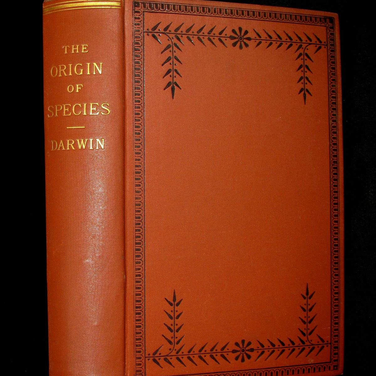 1895 Rare Book - CHARLES DARWIN The ORIGIN OF SPECIES - Natural Select ...
