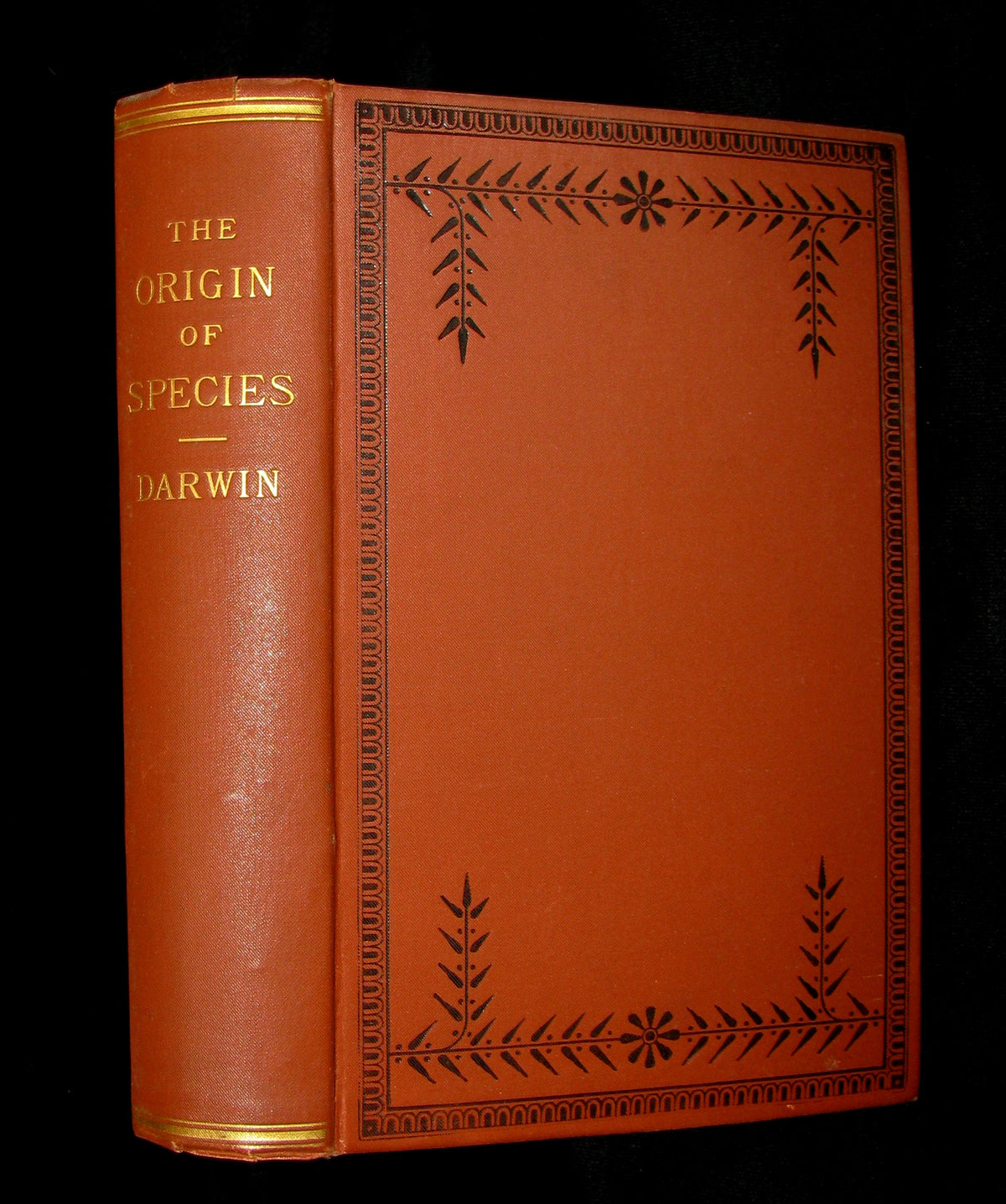 1895 Rare Book - CHARLES DARWIN The ORIGIN OF SPECIES - Natural Select ...