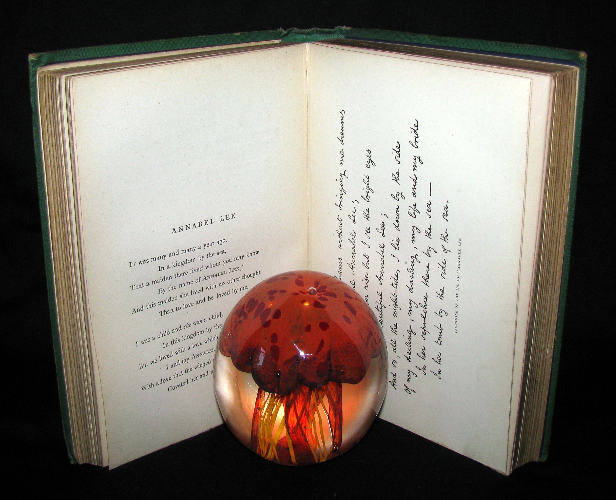 1875 Rare Book - Poems by Edgar Allan POE (The Raven, Lenore, Ulalume ...