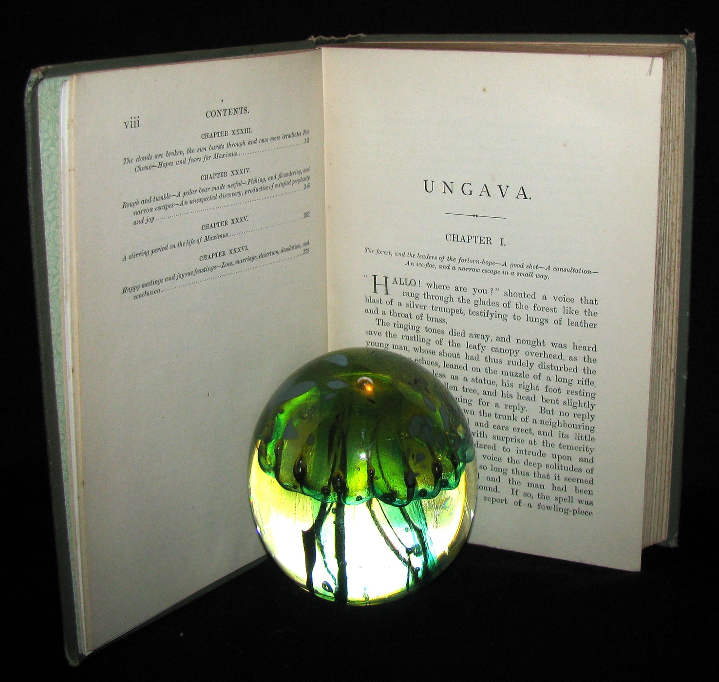 1893 Rare Victorian Book - UNGAVA A Tale of Esquimau Land by Robert ...