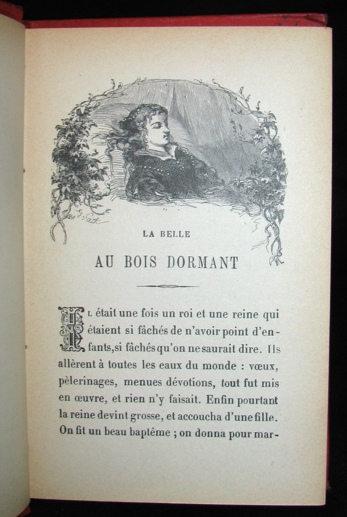 1890 Scarce Contes de Fees Fairy Tales by Charles Perrault — MFLIBRA ...