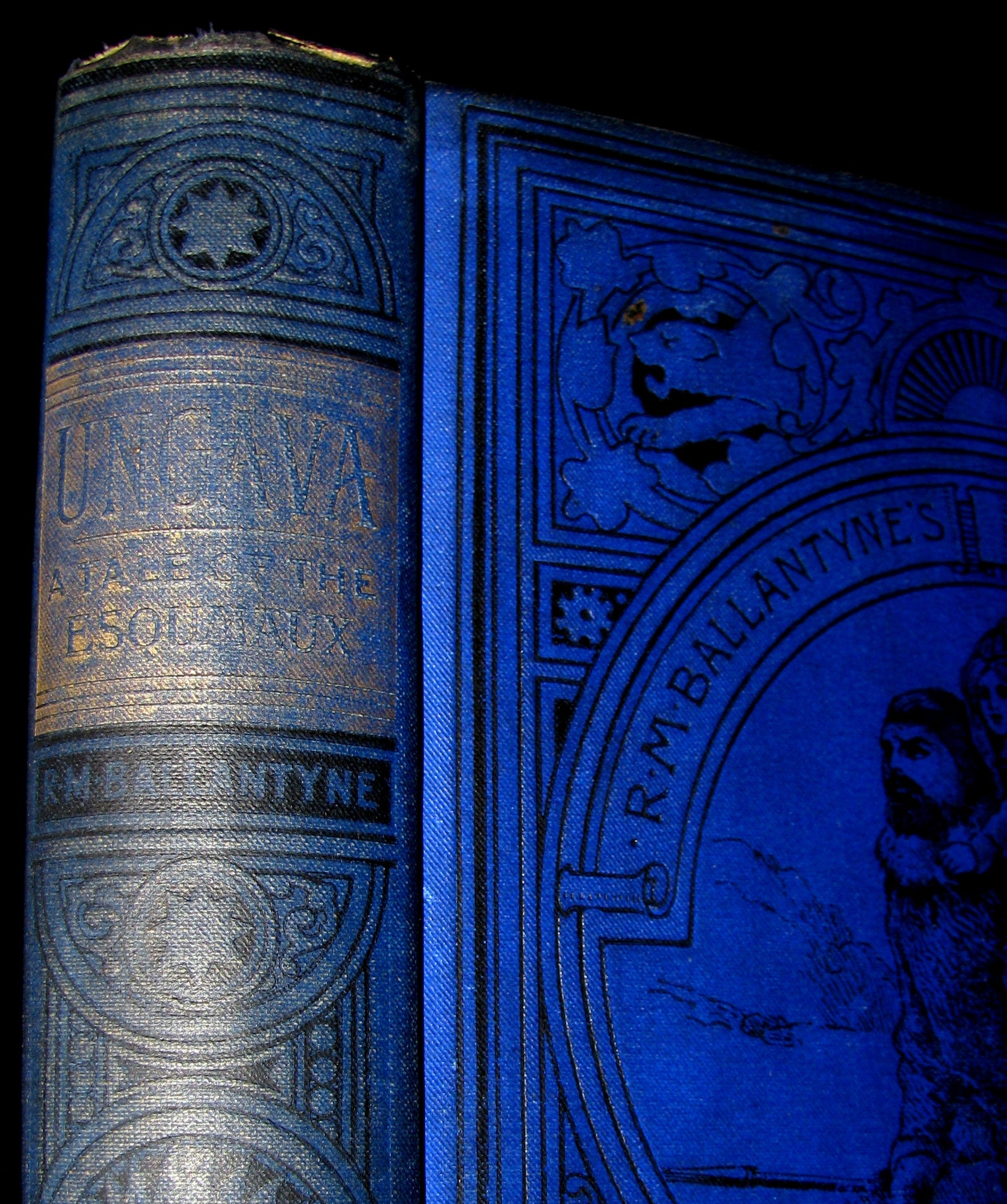 1893 Rare Victorian Book - UNGAVA A Tale of Esquimau Land by Robert Mi ...