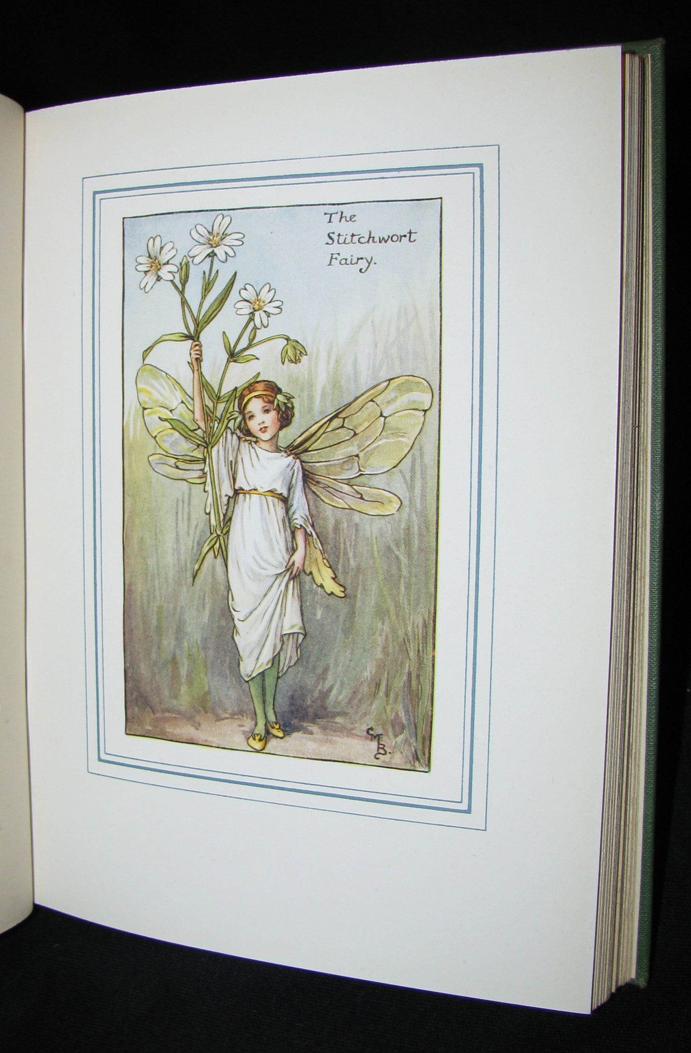 1940's Rare Book - Cicely Mary Barker - THE BOOK OF THE FLOWER FAIRIES ...